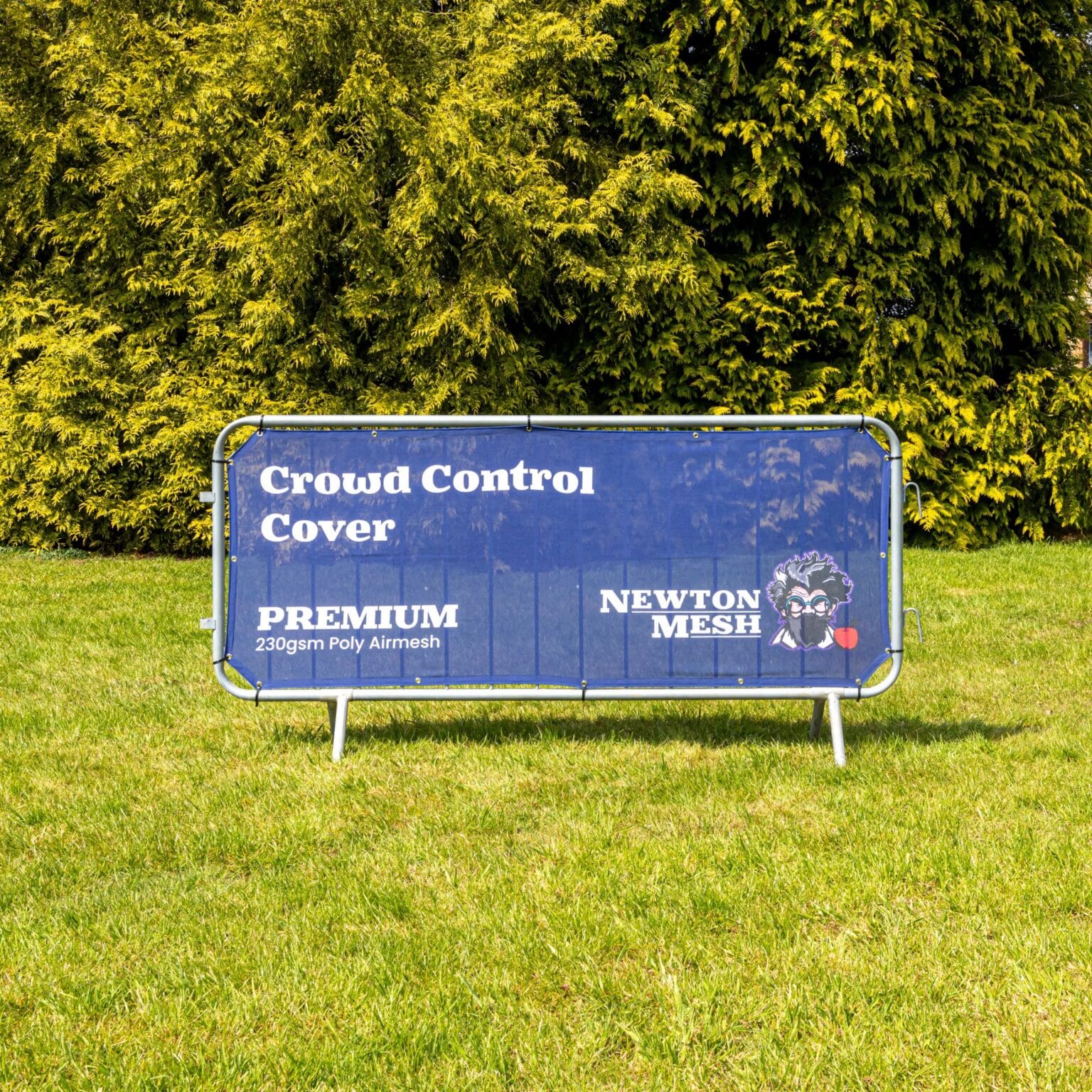 About Us | Newton Mesh